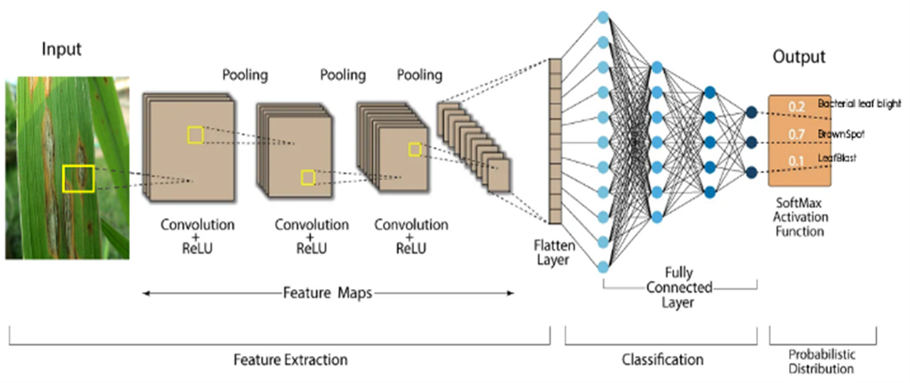 depa Thailand - Article View